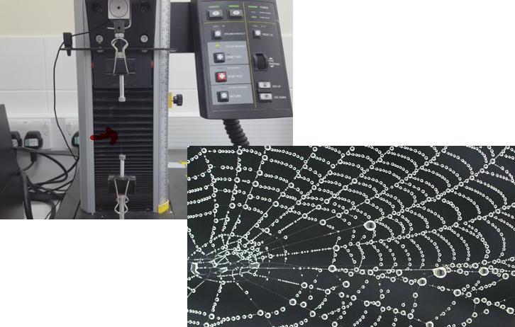 Green Method developed for making Artificial Spider Silk - Science Tech ...